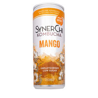 SynerChi | SyernChi Kombucha Cans Tasting Pack
